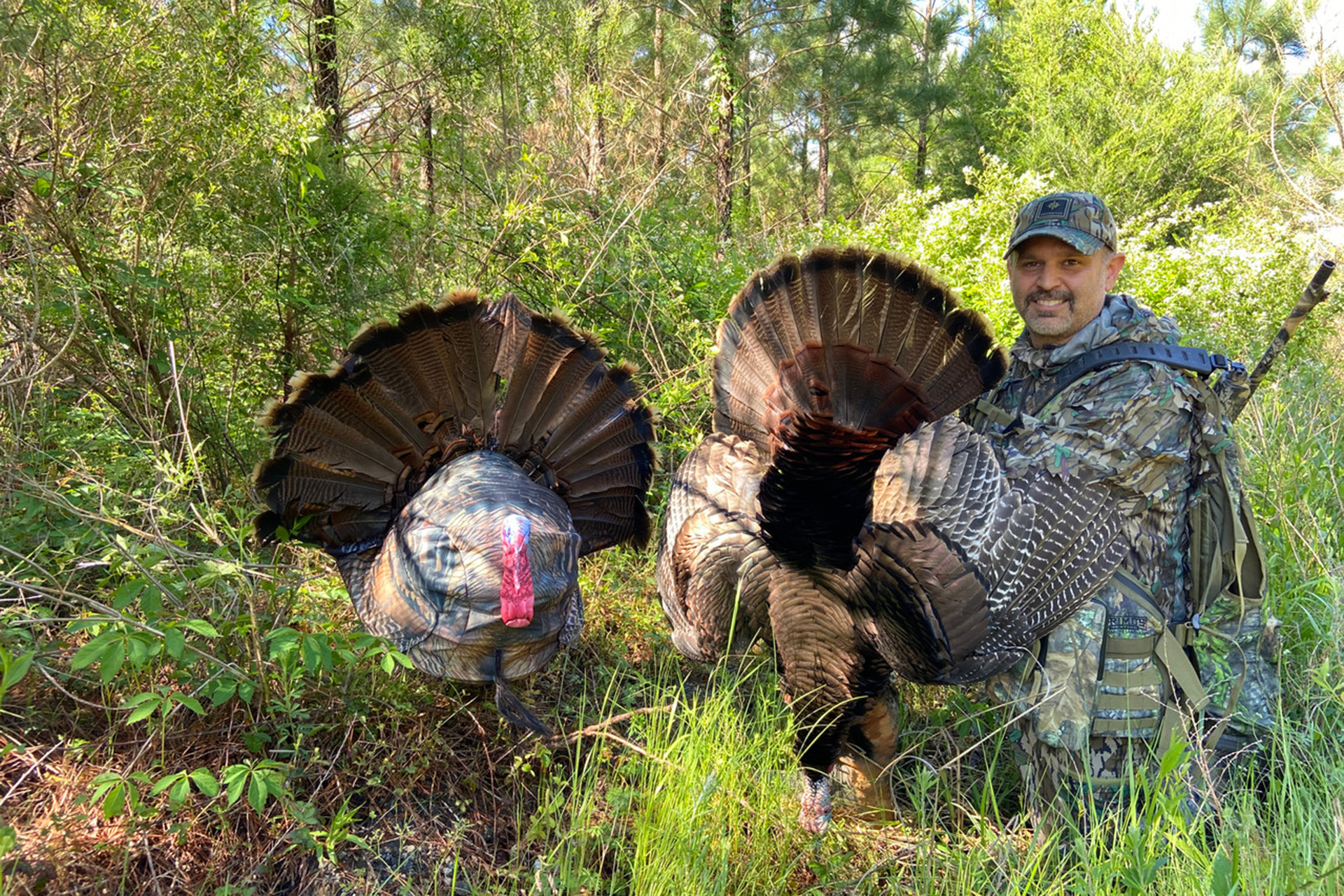 Using a Turkey Reaping Decoy - Montana Decoy